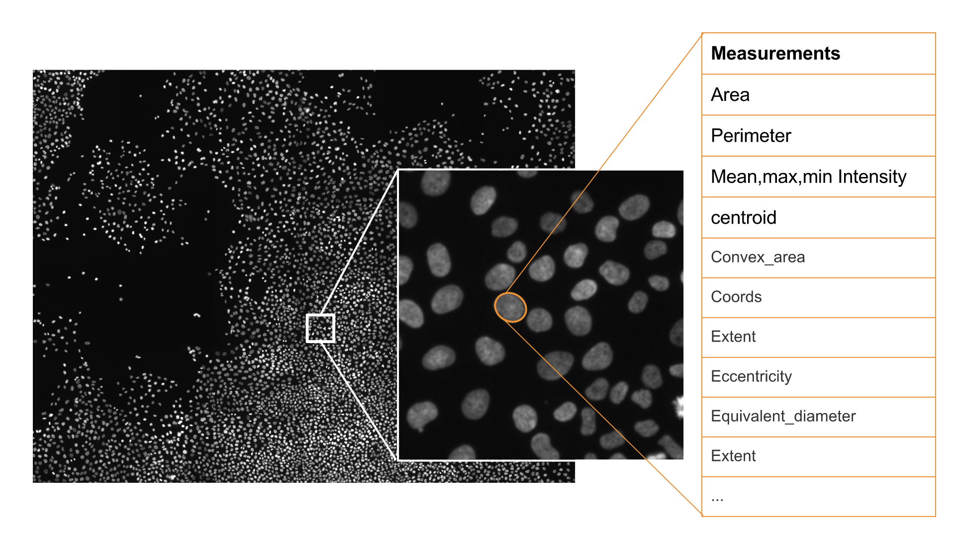 Image Features Extraction Image Features Extraction 1 0 0 Documentation Image Features Extraction Image Features Extraction 1 0 0 Documentation
